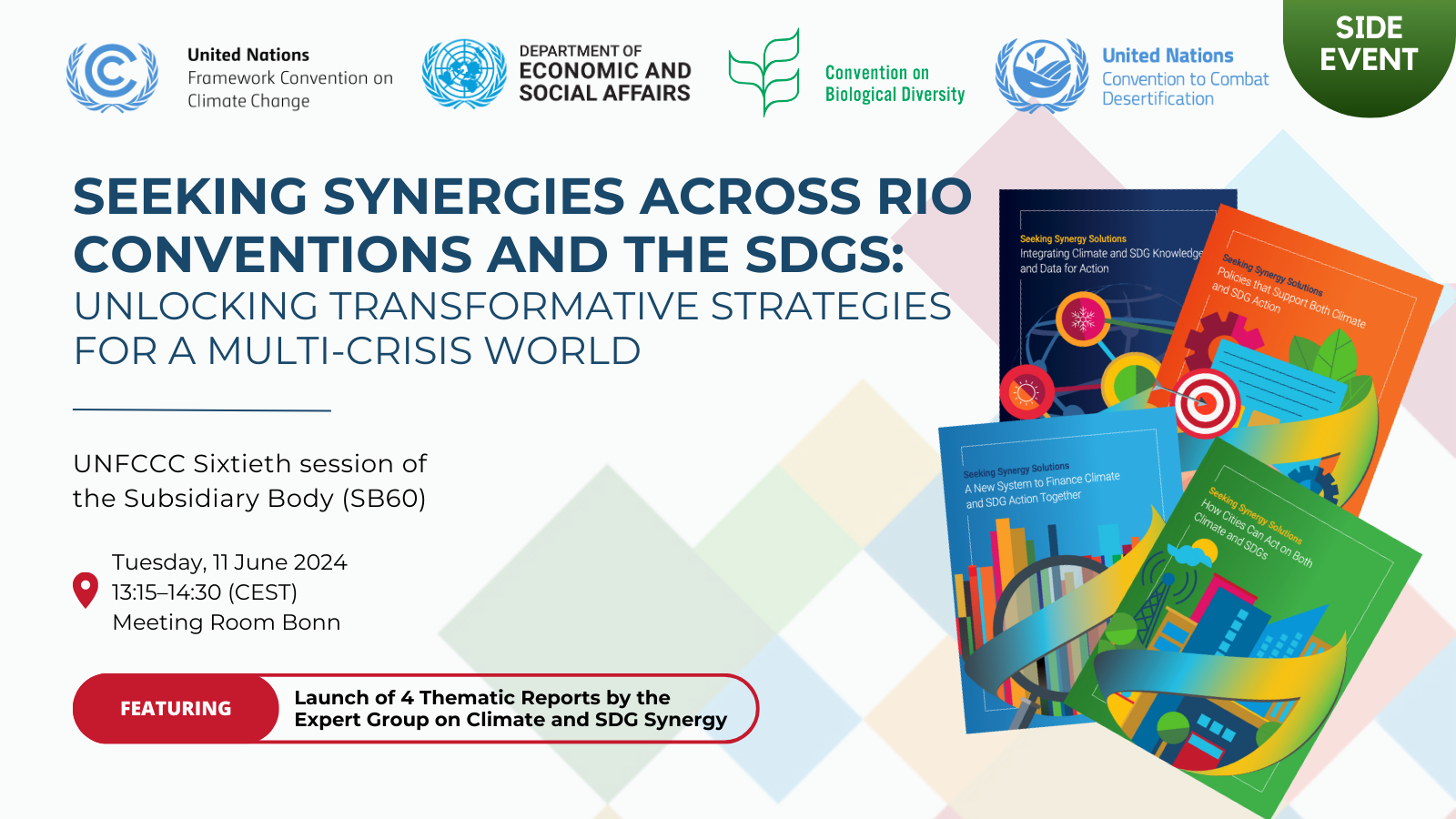 Seeking Synergies Across Rio Conventions and the SDGs: Unlocking Transformative Strategies for a ...